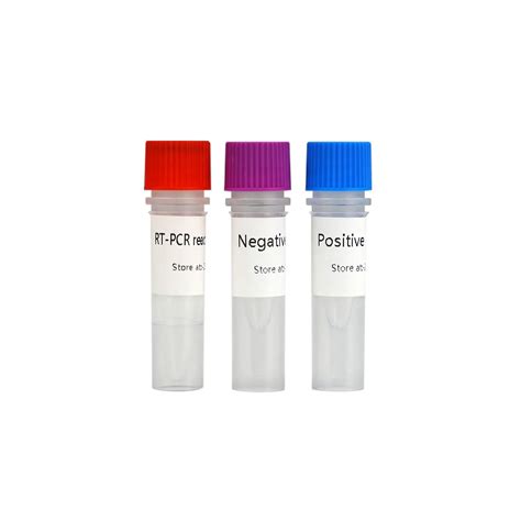 Veterinary Diagnosis Of Porcine Pseudorabies Virus Gb Rt Pcr Kit