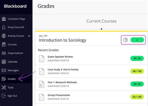 Accelerated Classes Online 8 Week 6 Week 5 Week Courses