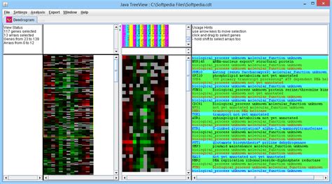 Java Treeview Download Softpedia