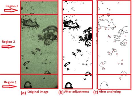 Image Processing Using Imagej Software Download Scientific Diagram