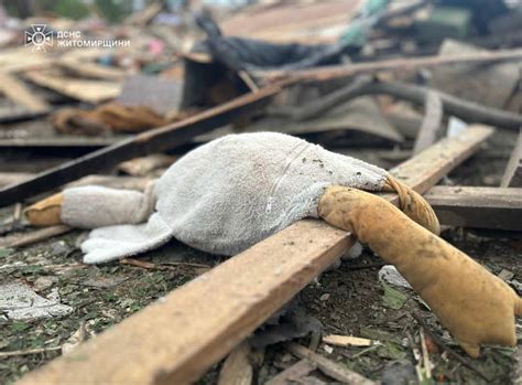 Фотопроект Від Лялі до Кралі Сьогодні 1 червня в Україні та світі традиційно відзначається