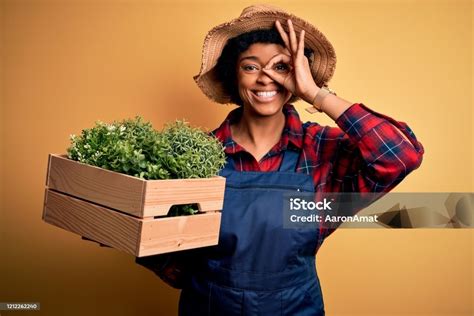 젊은 아프리카계 미국인 농부 여자 곱슬 머리를 입고 앞치마 를 들고 상자를 들고 행복 한 얼굴 미소 손가락으로 보고 눈으로 확인 기호를 하 고 농장에 대한 스톡 사진 및