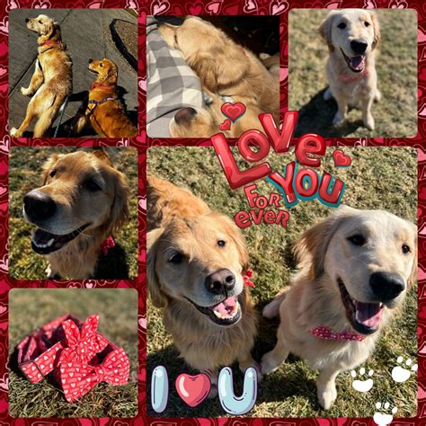 Michelle Pecak On Linkedin Nojudgement Love Youdoyou Valentinesday