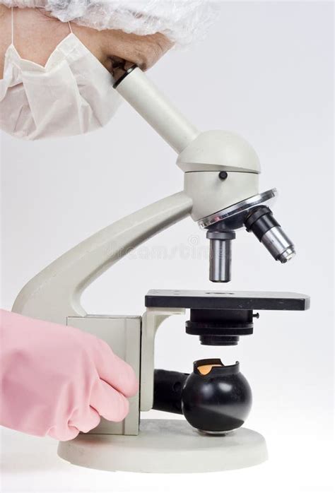 Microscope Stock Photo Image Of Women Laboratory Occupation 14565234