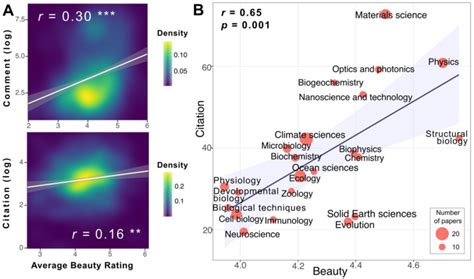 Correlations Between Beauty And Real World Metrics A Top Pearsons Download Scientific Diagram