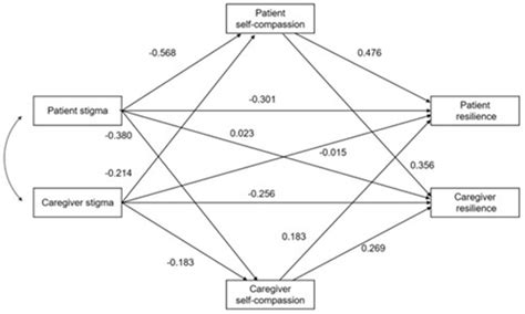 Dyadic Effects Of Stigma And Self Compassion On Resilience Of