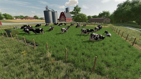 Temporary Grazing Pastures Fs22 Kingmods