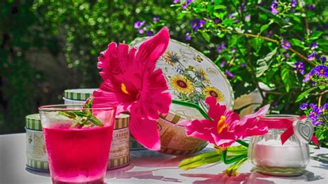 ასურეთი ბაღი ჩვენს სახლში Youtube