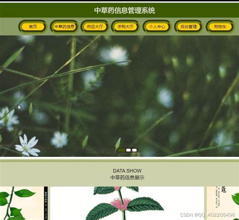 springboot中药中草药商城 java供求信息管理系统 csdn博客
