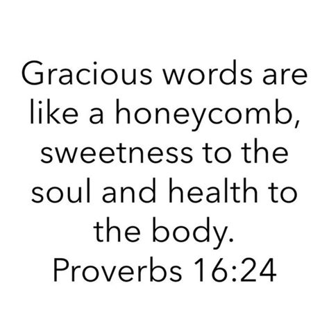 Proverbs 14 30 A Heart At Peace Gives Life To The Body But Envy Rots