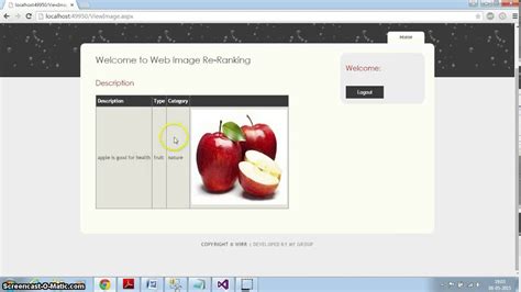 Web Image Re Ranking Using Query Specific Semantic Signature Youtube