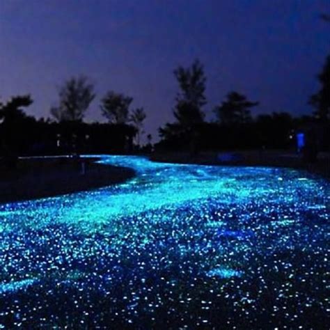 Glow In The Dark Pebbles Solar Powered Led Blacklight Combo Set
