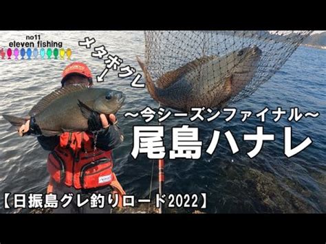 日振島グレ釣りロード2022今シーズンファイナル喰い渋りの尾島のハナレ YouTube