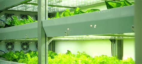 การนำเทคโนโลยีอินเทอร์เน็ตของสรรพสิ่ง Iot เข้าสู่การผลิตเกษตรในฟาร์ม