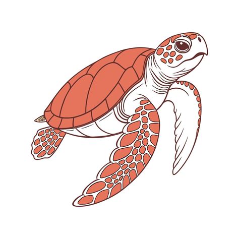 Loggerhead Turtle Illustration 58115806 Vector Art At Vecteezy