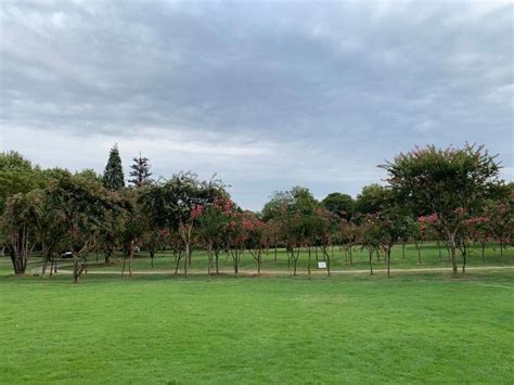 Rabbitmq：值得学习的消息队列 知乎