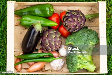 다양한 생 야채 가지 아티 초크 고추 토마토가 풀밭에 상자에 담겨 있습니다 건강한 식습관 채식주의의 개념 굽기 위해 야채 준비 0명에 대한 스톡 사진 및 기타 이미지