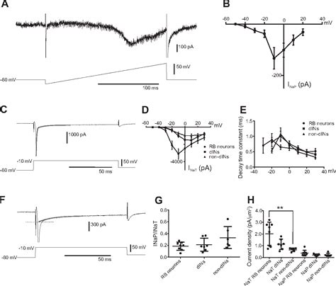 Figure 1 From The Modulation Of Two Motor Behaviors By Persistent Sodium Currents In Xenopus
