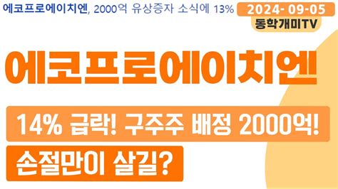 에코프로에이치엔 14 급락 구주주 배정 2000억 손절만이 살길 Youtube