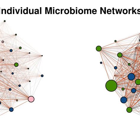 Examples Of Individual Microbiome Networks Nodes Represent Different Download Scientific