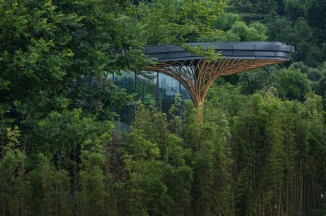 Organic Architecture Harmony Between Nature And Built Environment