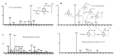 A Mass Spectrometry By Esi Tof Mass Spectrometry Of Standard