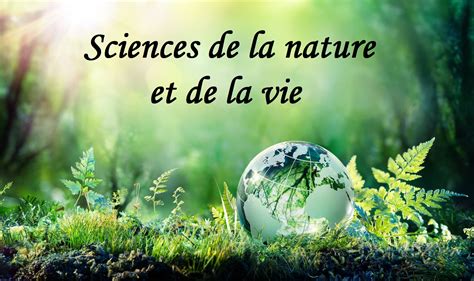 Sciences De La Nature Et De La Vie Licence Vice Rectorat Chargé De