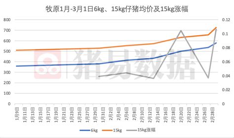 牧原15kg仔猪700 750散户价格利润