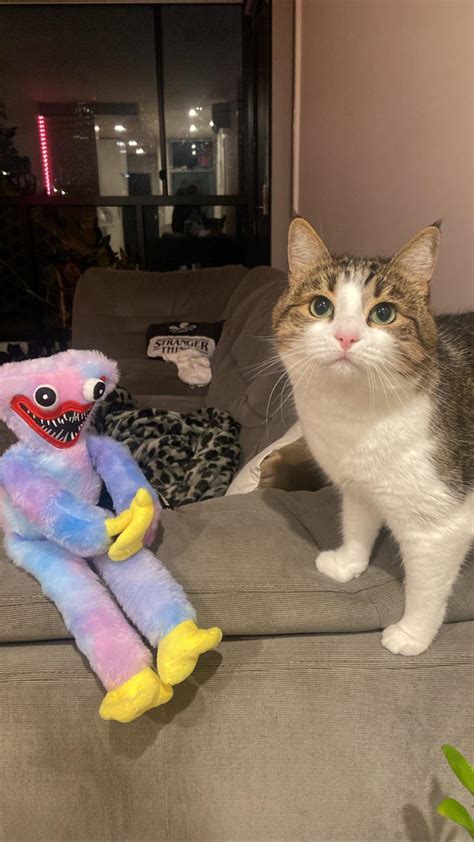 26 Best Ugenesisxxx Images On Pholder Aussie Girls Prettyaltgirls