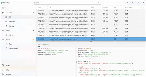 Windows Proxy Update Pākiki Security