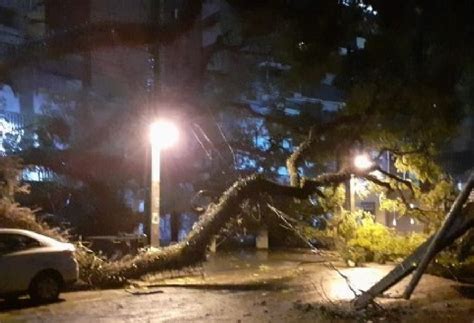 VÍdeo Temporal Com Ventos De Até 100kmh Derruba árvores E Destelha