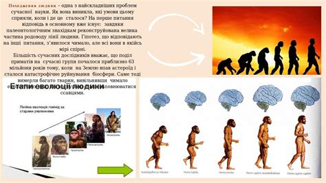 Еволюція людини Етапи еволюції людини Презентація Біологія