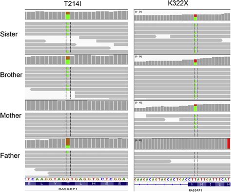 FIG E Alignment Of Sequencing Reads Around The Mutations In Download Scientific Diagram