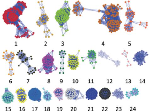 Cytoscapes Organic Layout Sequence Similarity Network Representation Download Scientific