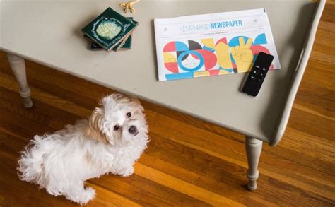 Pictures Of Cissy Ly