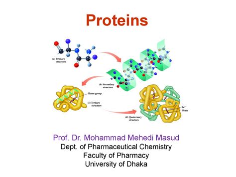 Protein And Its Biochemistry Slides Biochemistry Docsity