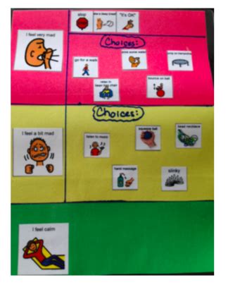 Emotional Regulation For Aba A Guide For Professionals