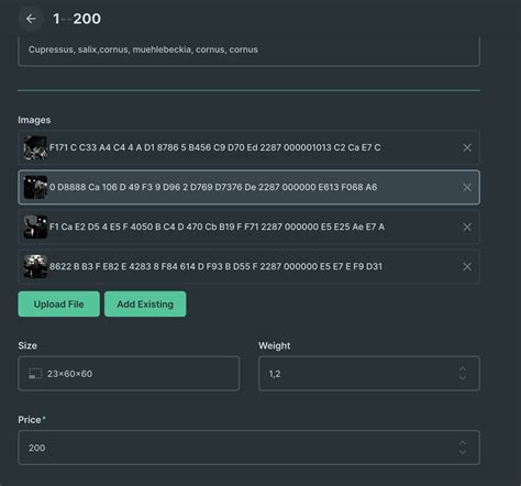 Cant Access Item Uploaded Files From Public · Issue 9997 · Directusdirectus · Github