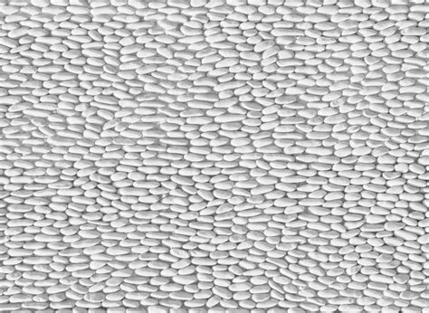 Page 7 Lily Pad Texture Images Free Download On Freepik