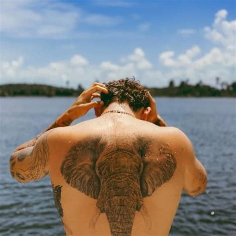 Beéle Mi Refe Lyrics Letra De Mi Refe Lyrics On Demand