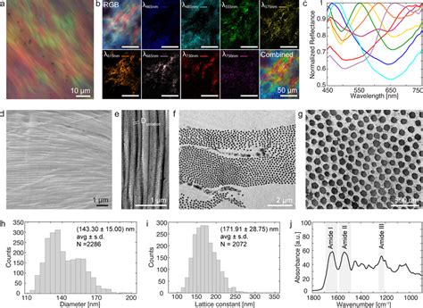 Static Characterization Of Naturally Sourced Soft Photonic Crystals A