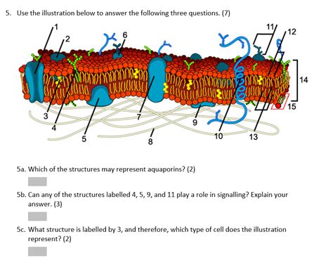 Solved 5a Which Of The Structures May Represent Aquaporins