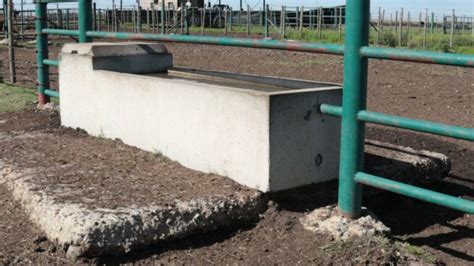 Gallery Vrystaat Krippe Troughs Bunker Walls Silage Walls