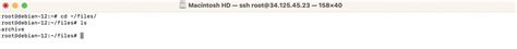 How To Zip Or Unzip Files On Debian 12 Devtutorial