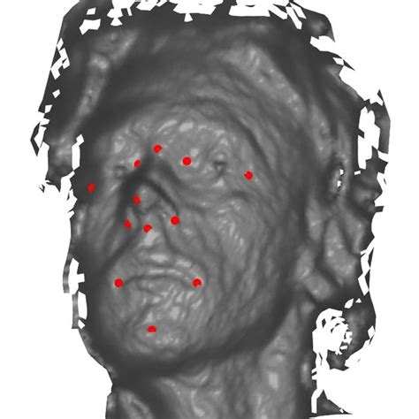 example of the 3d mesh of a face with automatically obtained landmarks
