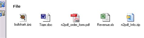 Convert And Import Attach Link Or Embedd Attachments In The Created PDF File N2pdf