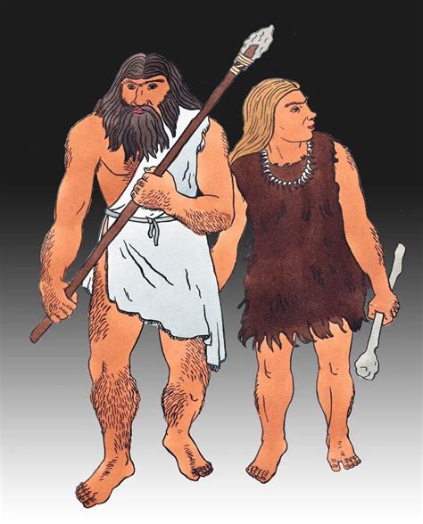 Clothing Of Pre Historic Man Java Man Neanderthal Cro Magnon