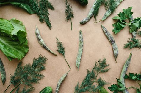 채소와 야채 배경의 혼합입니다 유용한 제품의 집합입니다 오이 그린 샐러드 딜과 콩 표면에 함께 거짓말 강낭콩에 대한 스톡 사진 및 기타 이미지 Istock