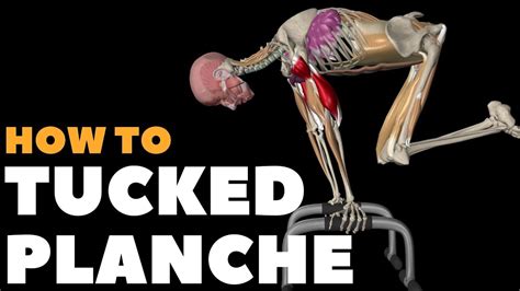 How To Do A Tucked Planche Watch All Active Muscles Youtube