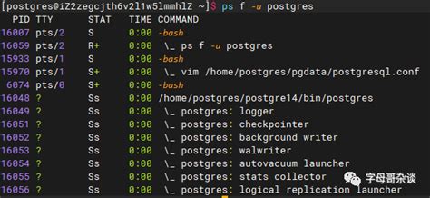 [postgresql]生产级别数据库安装要考虑哪些问题？ 知乎